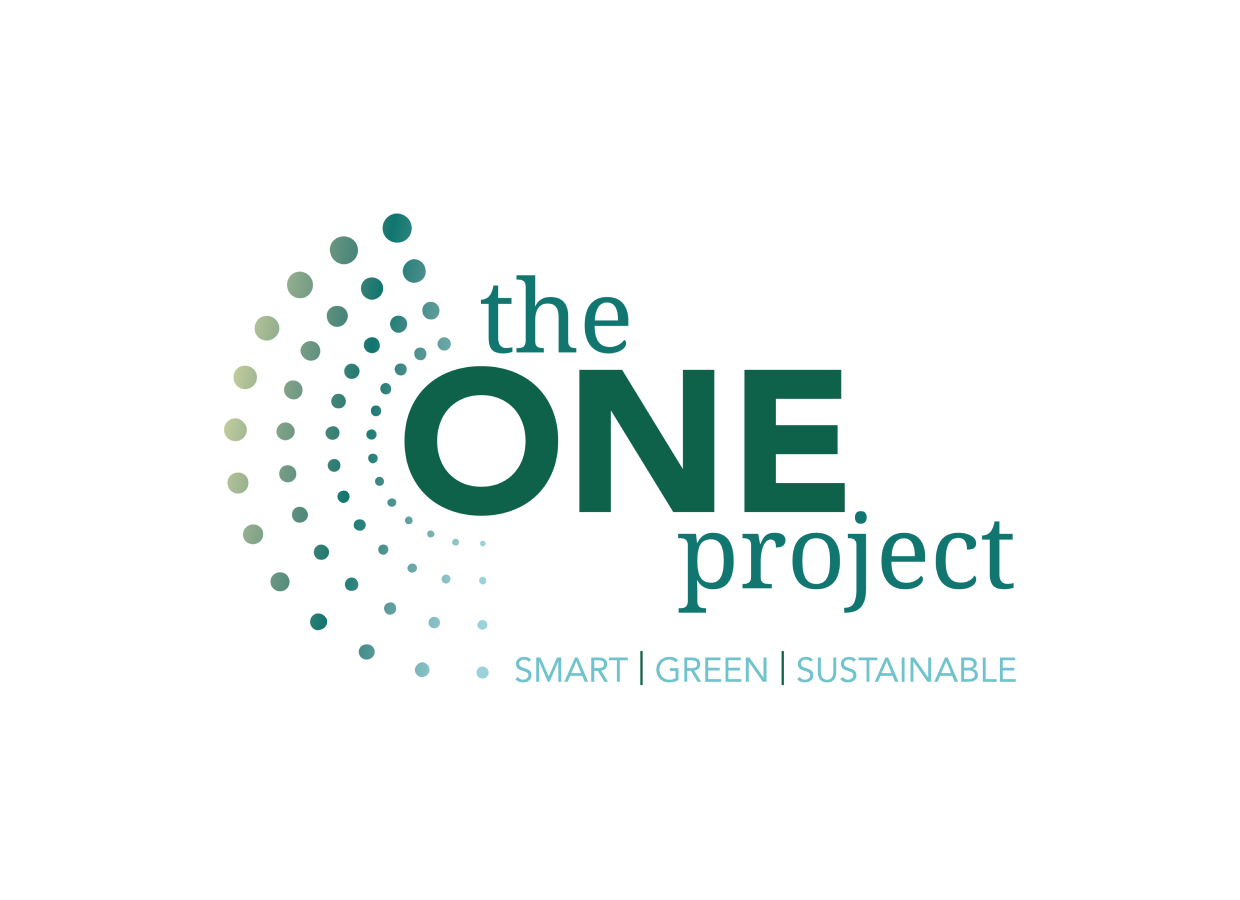 The ONE project - Momentum